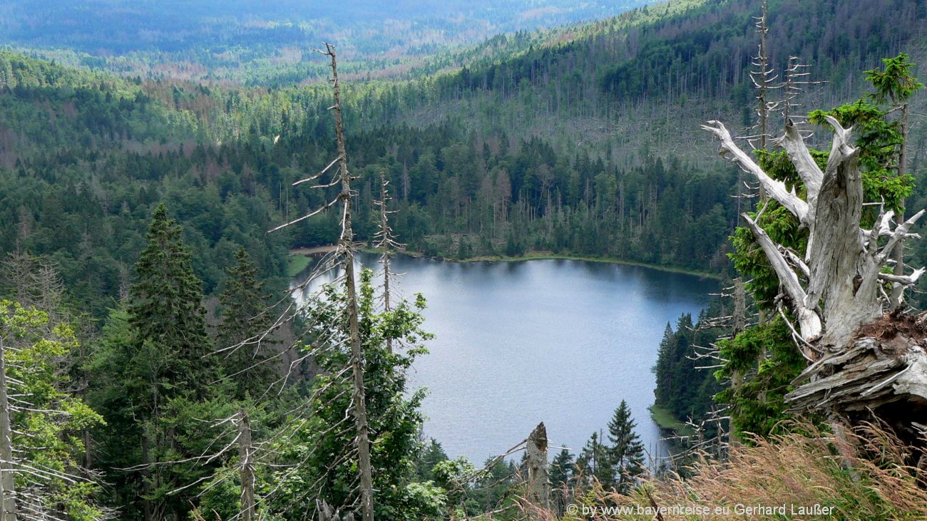 Rachelsee wandern Rachel Bayerischer Wald Rachelkapelle Berg Gipfel See ...