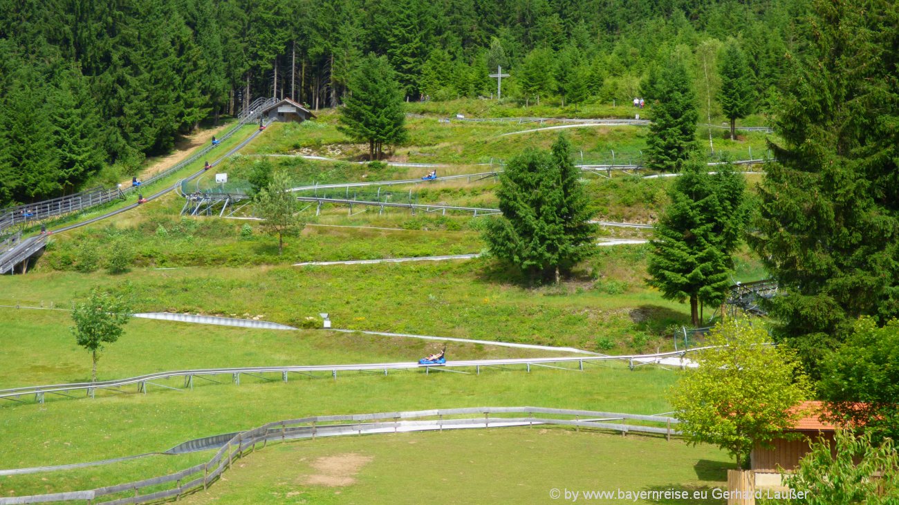 Sankt Englmar Sommerrodelbahn Bayerischer Wald Rodeln Bayern Deutschland